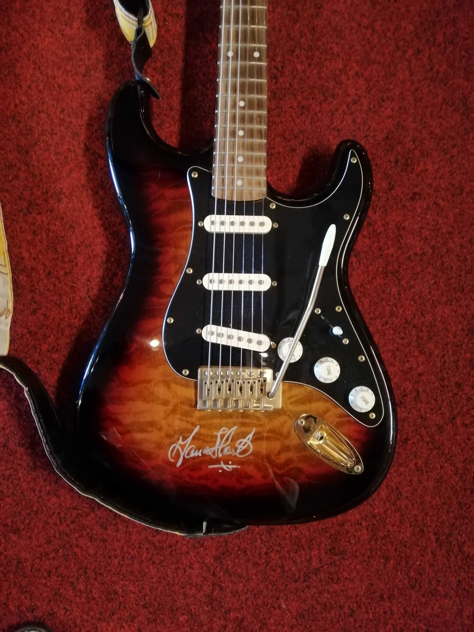 Gitaar Jan de Hont Model Richwood Stratocaster met gitaarriem ...